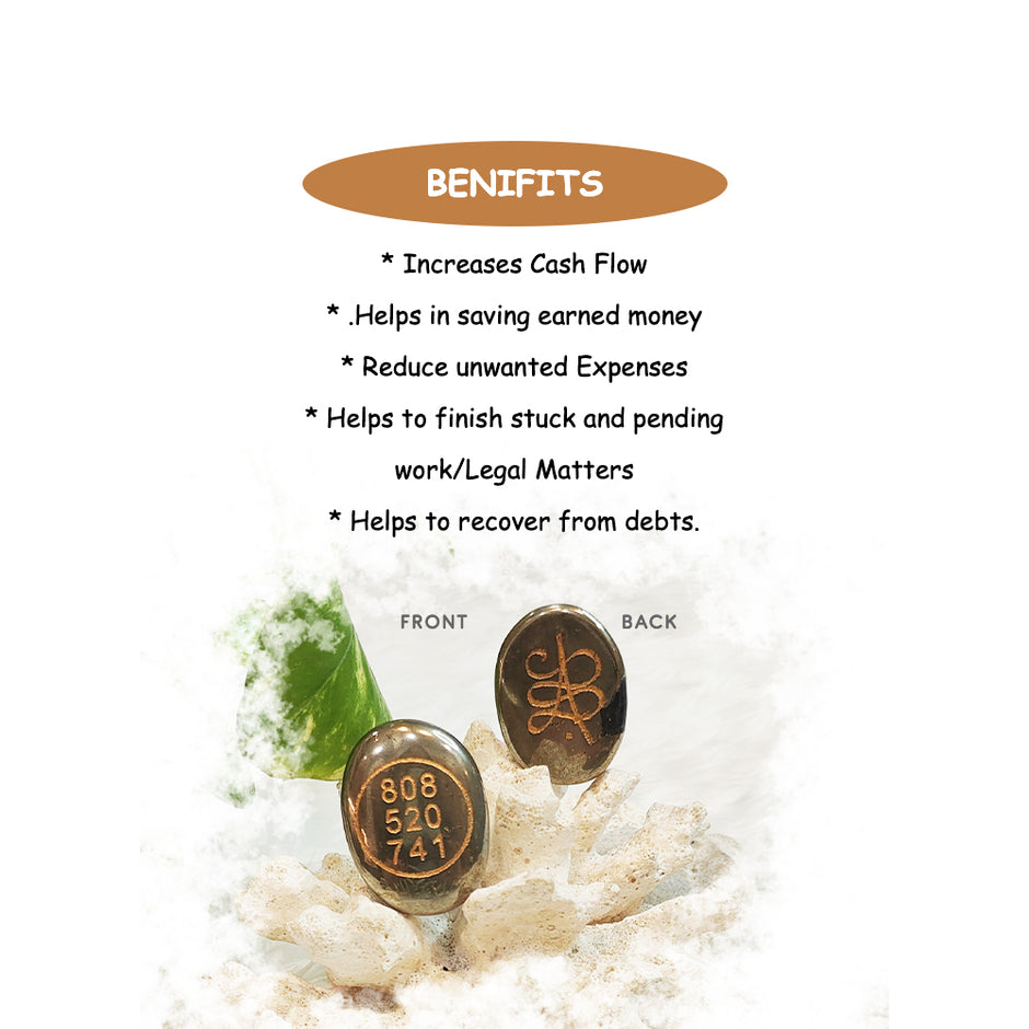 Zibu Coins – Cold Lava Studio